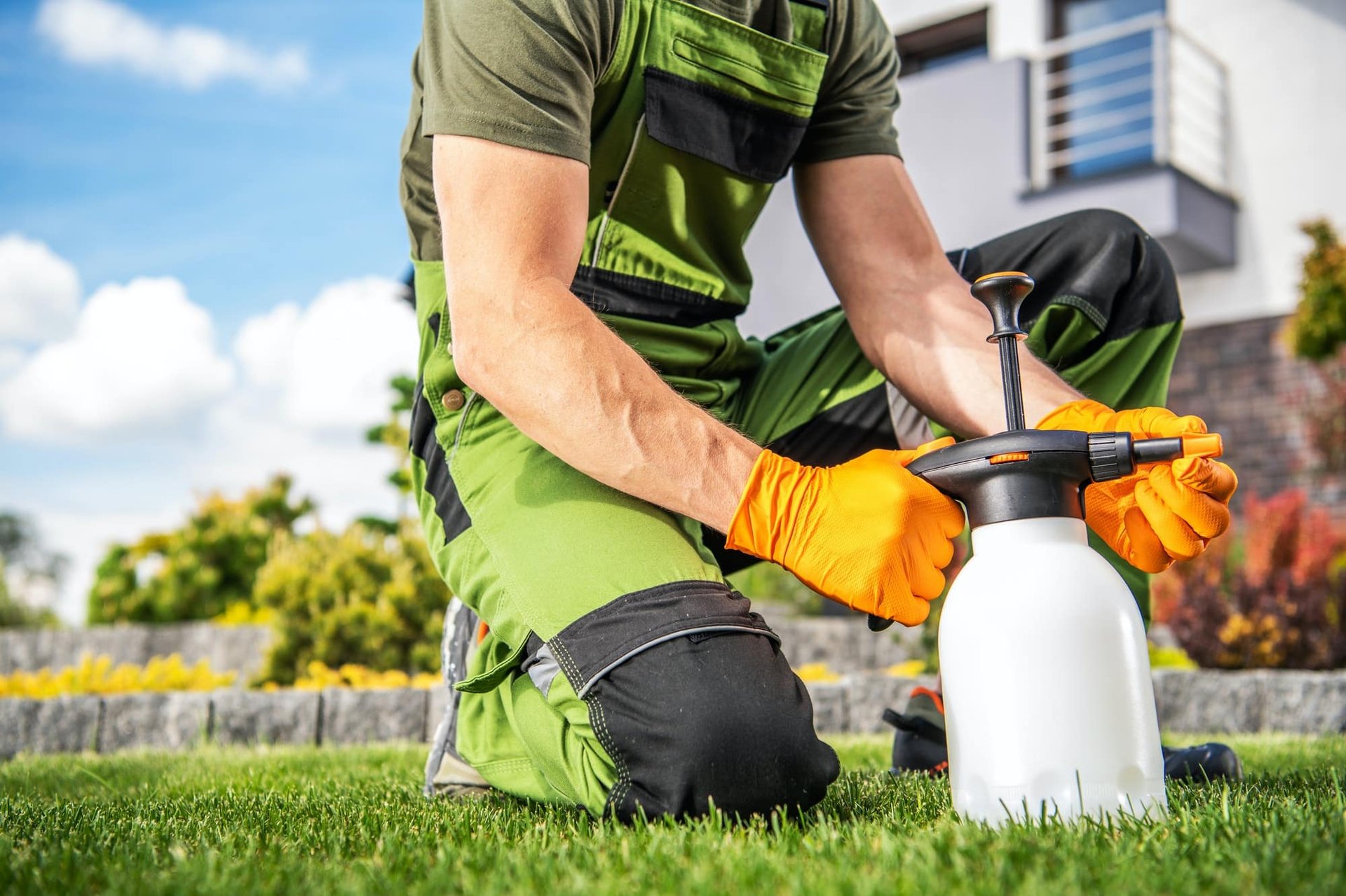 Insecticide naturel pour le jardin : quel produit choisir ? - Maisons Aubin